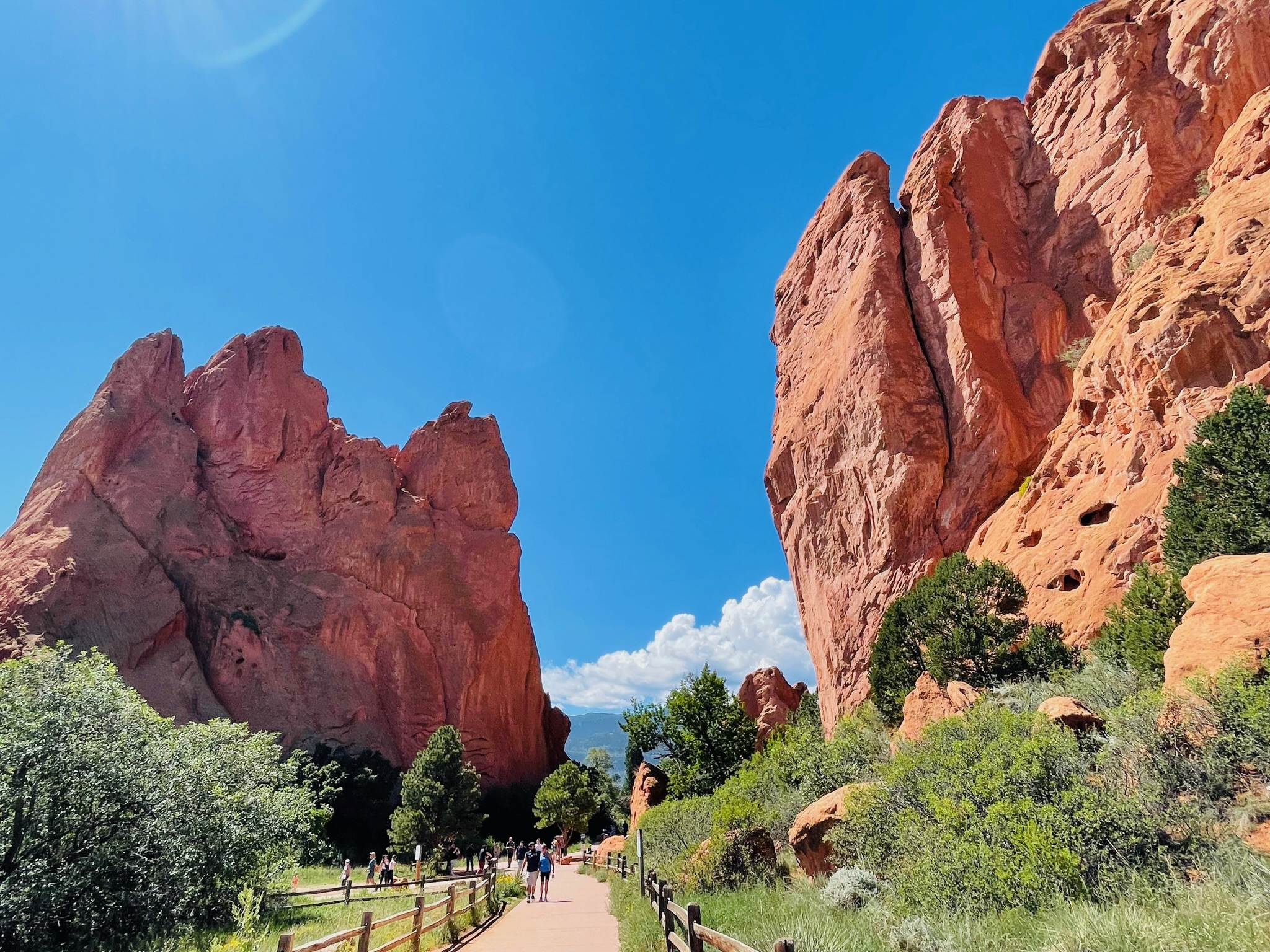 Jack (Daoheng) Niu — Home