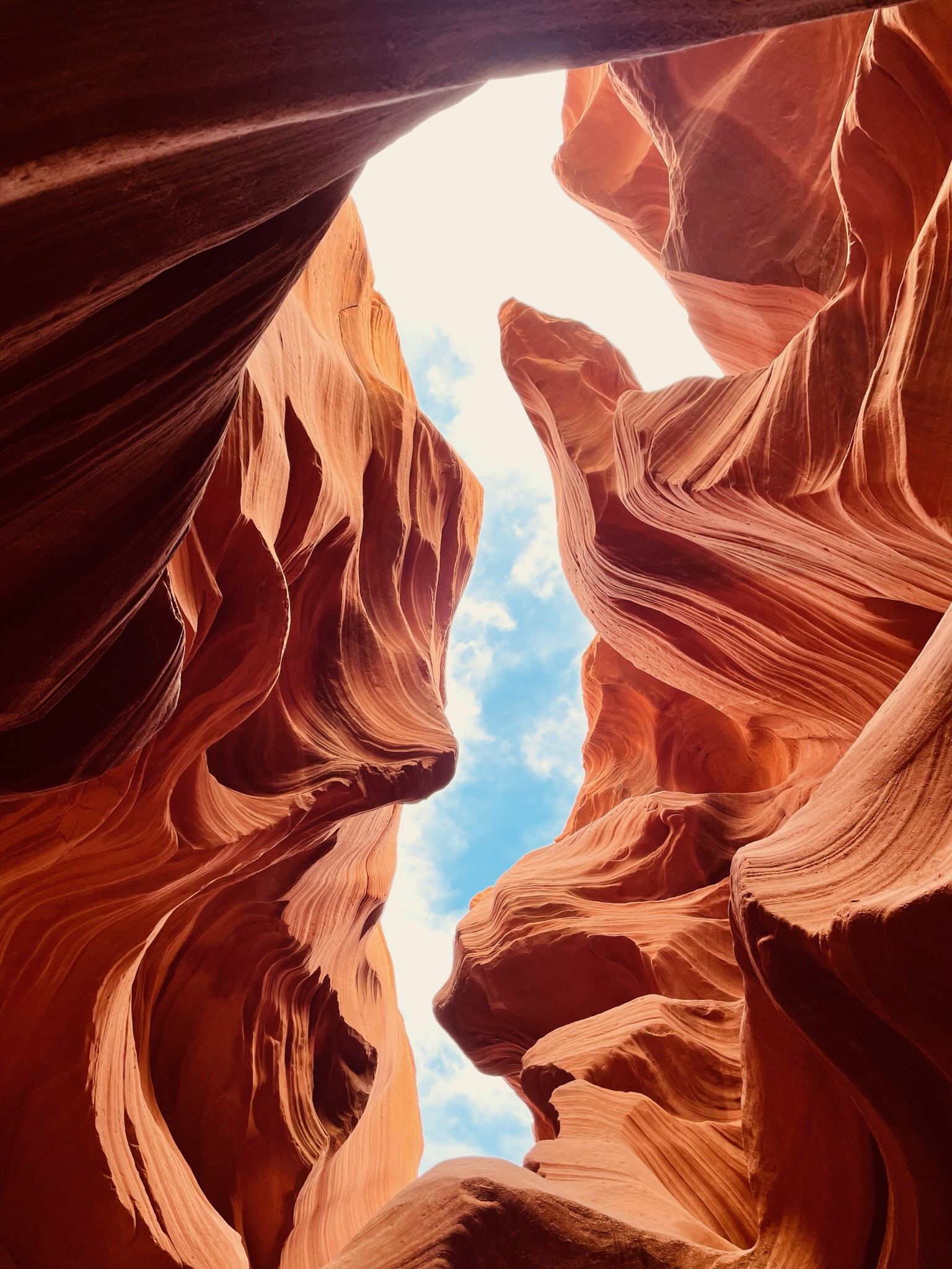 Jack (Daoheng) Niu — Home